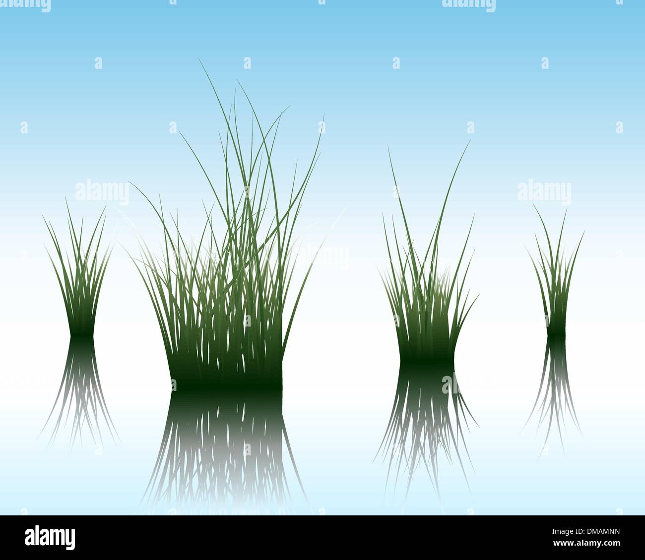grass on water Stock Vector Image & Art - Alamy
