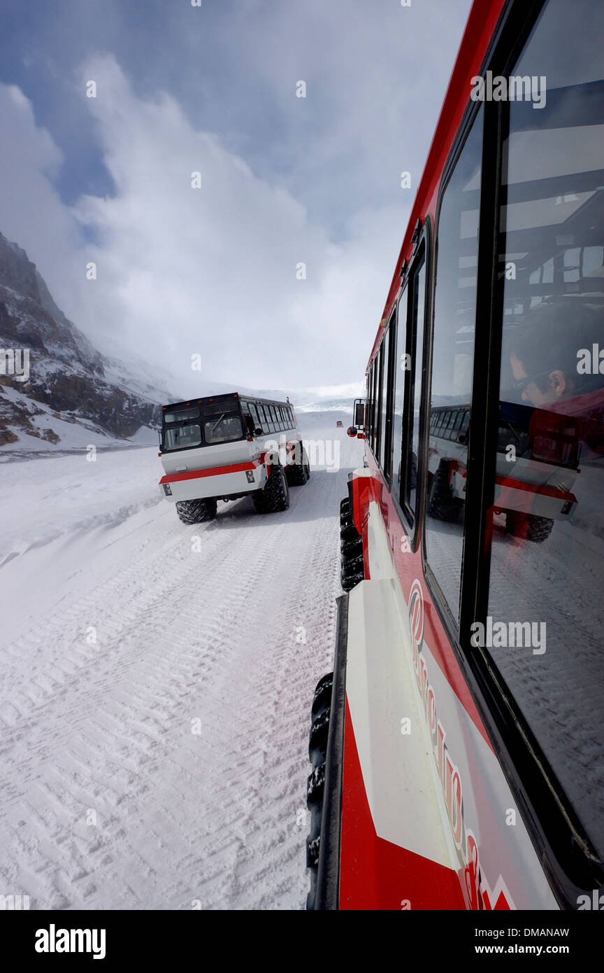 Glacier bus ice explorer banff hi-res stock photography and images - Alamy