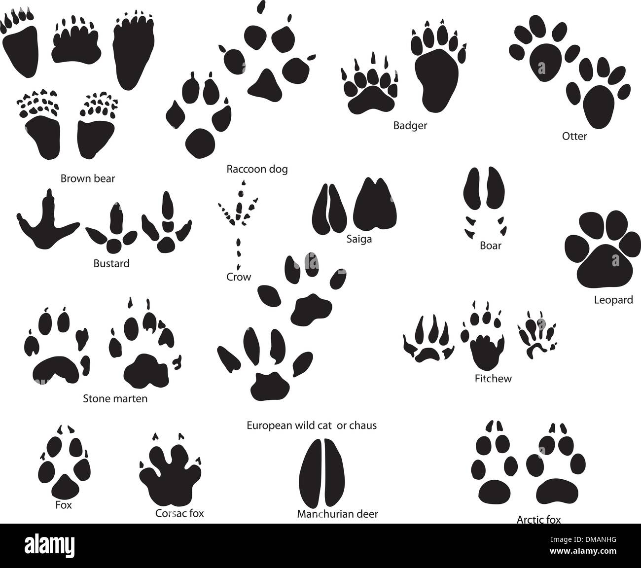 animal trails with title Stock Vector Image & Art - Alamy
