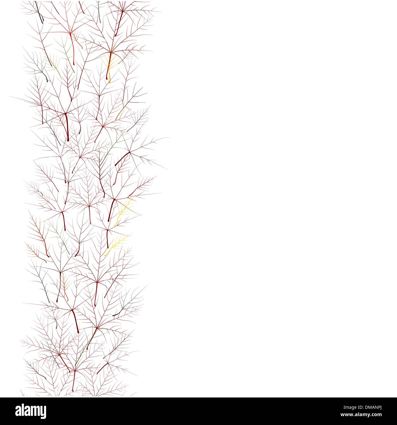 Card on abstract multicolored Cut Out Stock Images & Pictures - Alamy