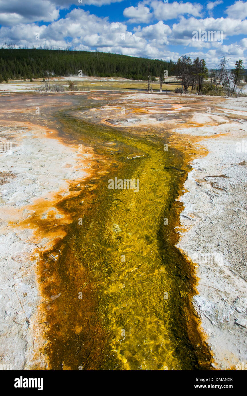 Biscuit Basin Yellowstone National Park Wyoming. USA LA006736 Stock ...