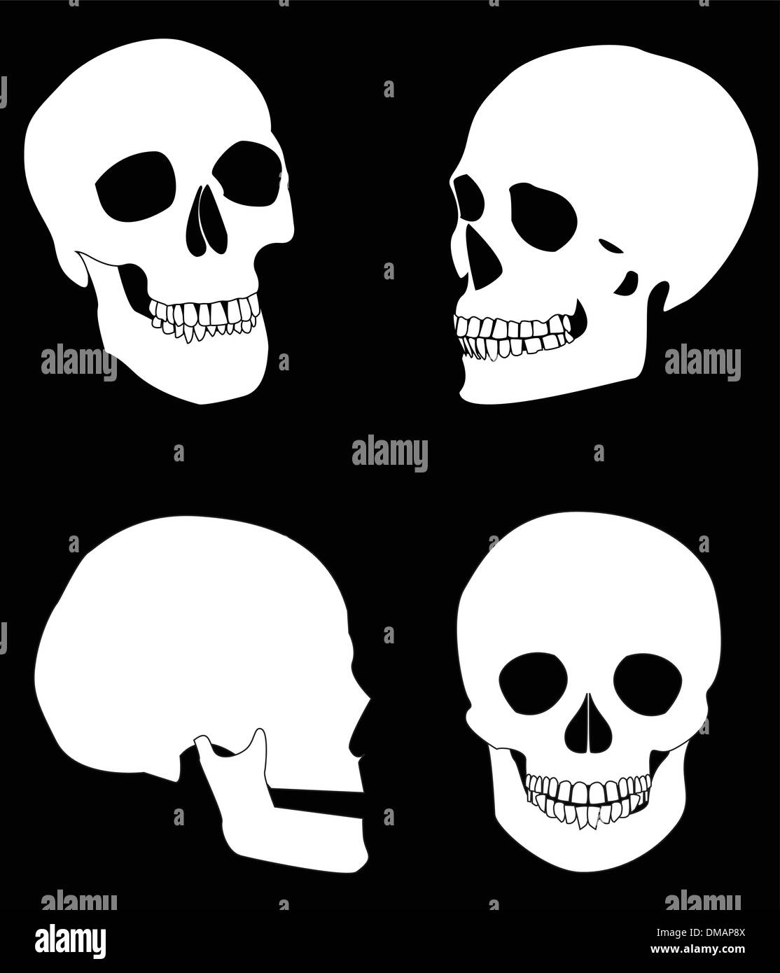 Skull image Black and White Stock Photos & Images - Alamy