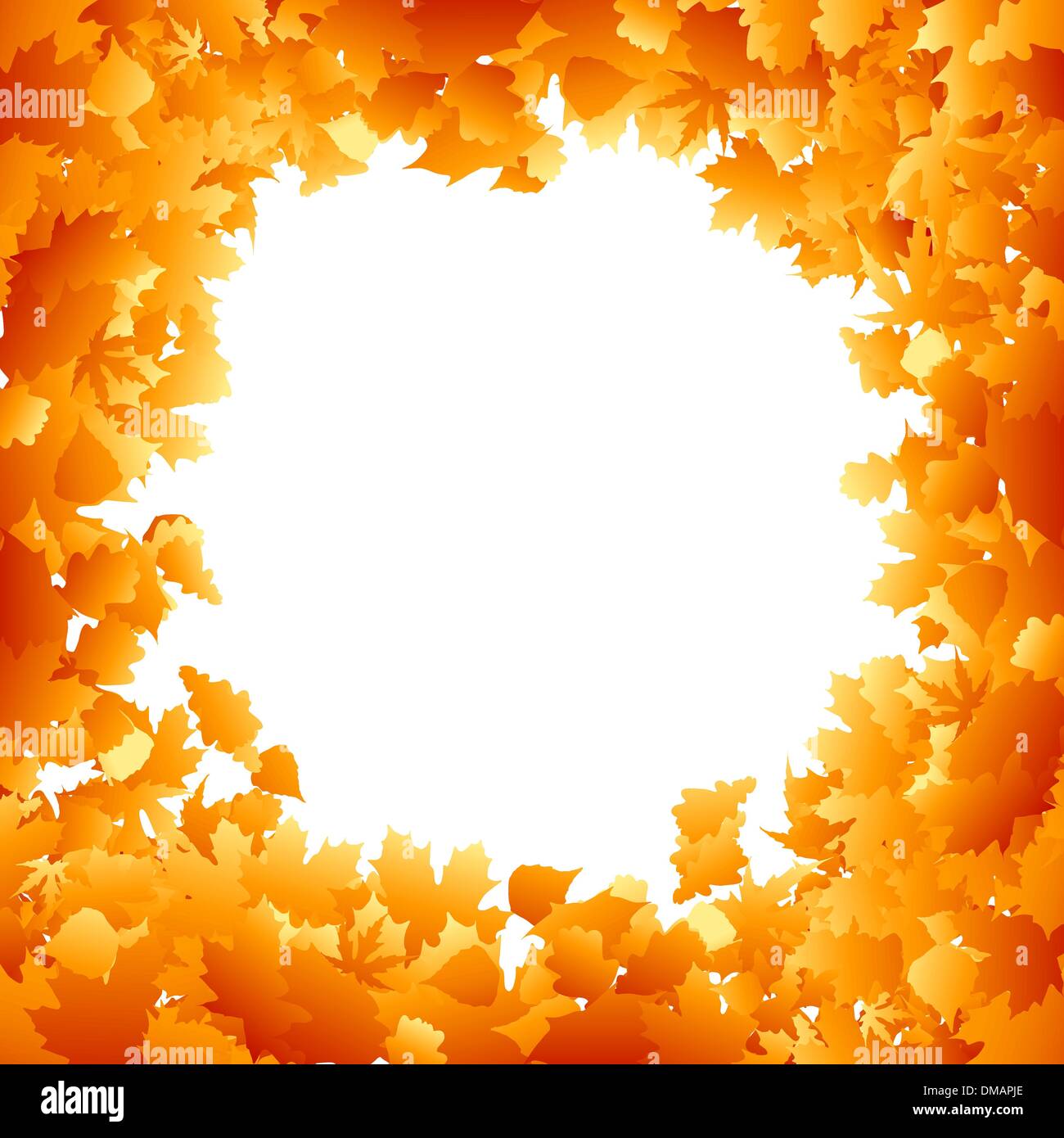 Maple leaves white frame Stock Vector Images - Alamy