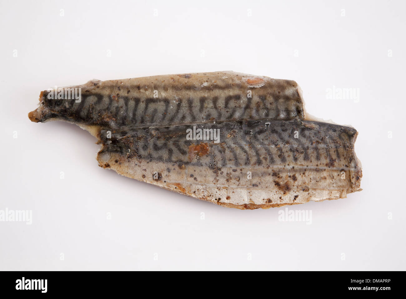 Frozen fish products laid on ice to be showcased for consumption ...