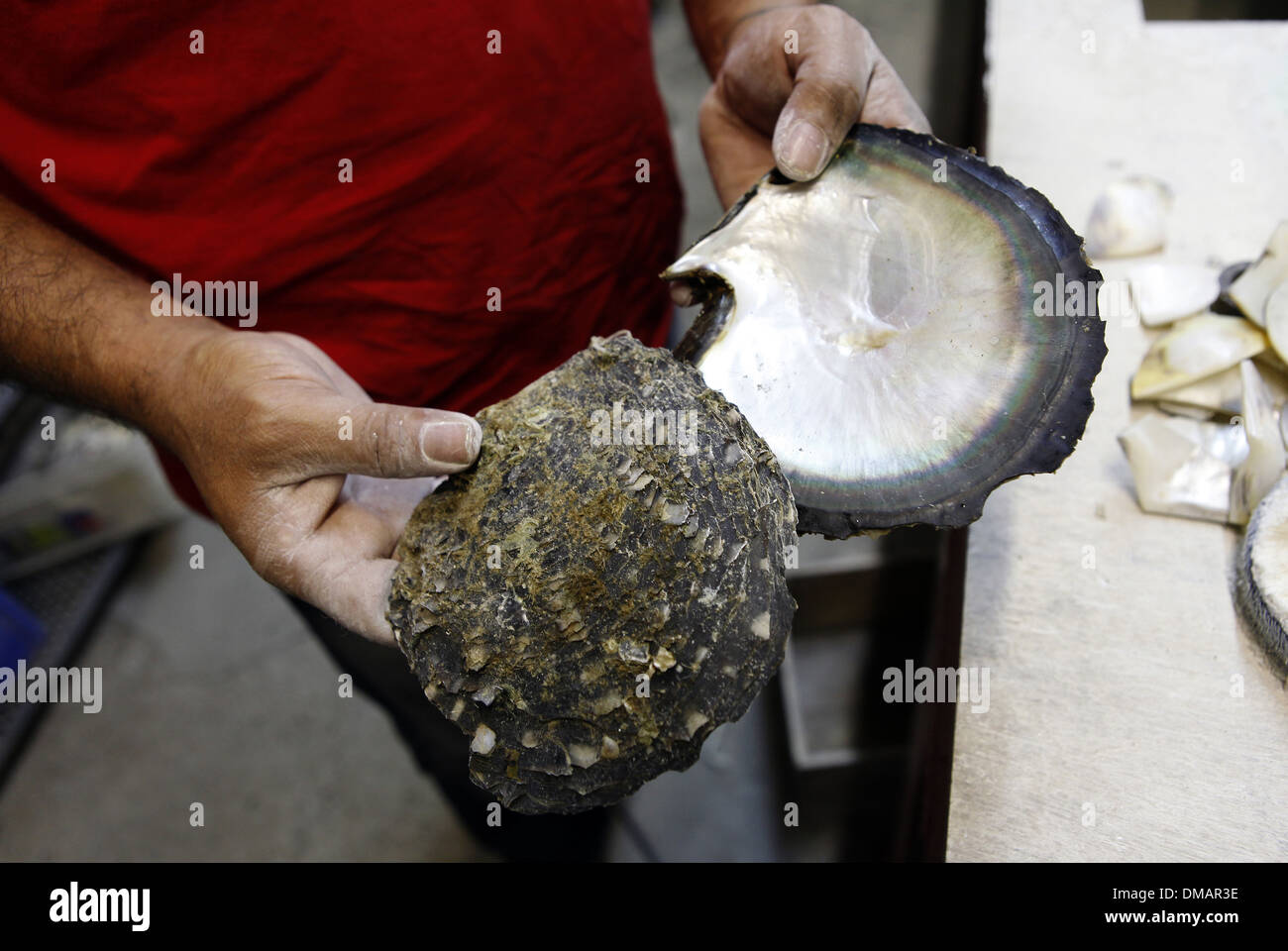 Papeete (Tahiti, French Polynesia): Workshop where pearl oysters are ...