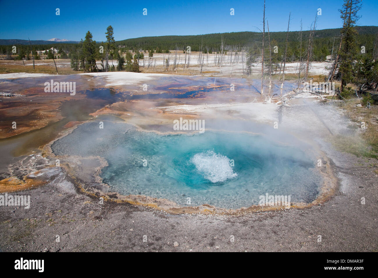 Yellowstone landscape spring hi-res stock photography and images - Alamy