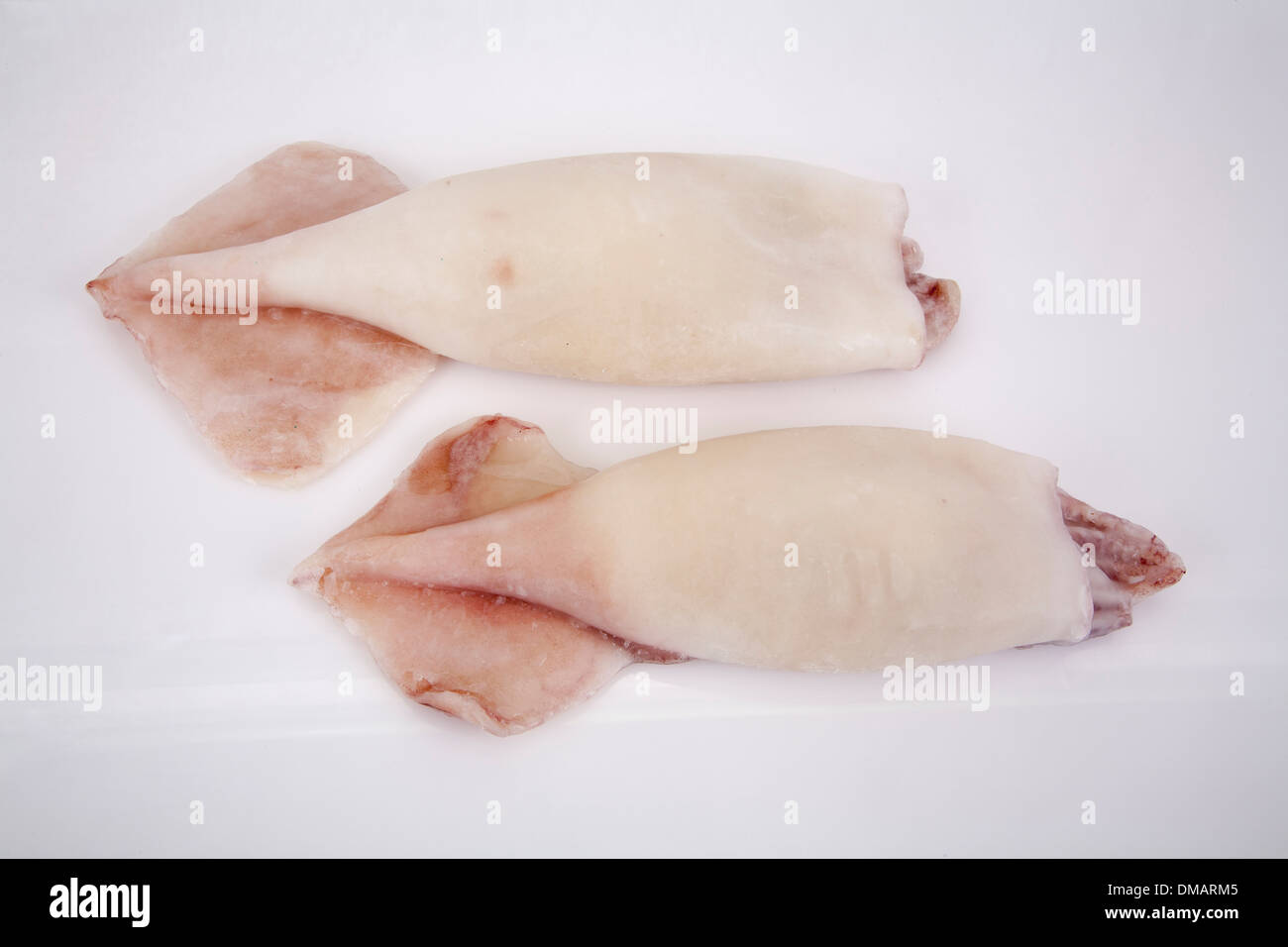calamari frozen pack seafood eat product wholesale many pack ice cold ...