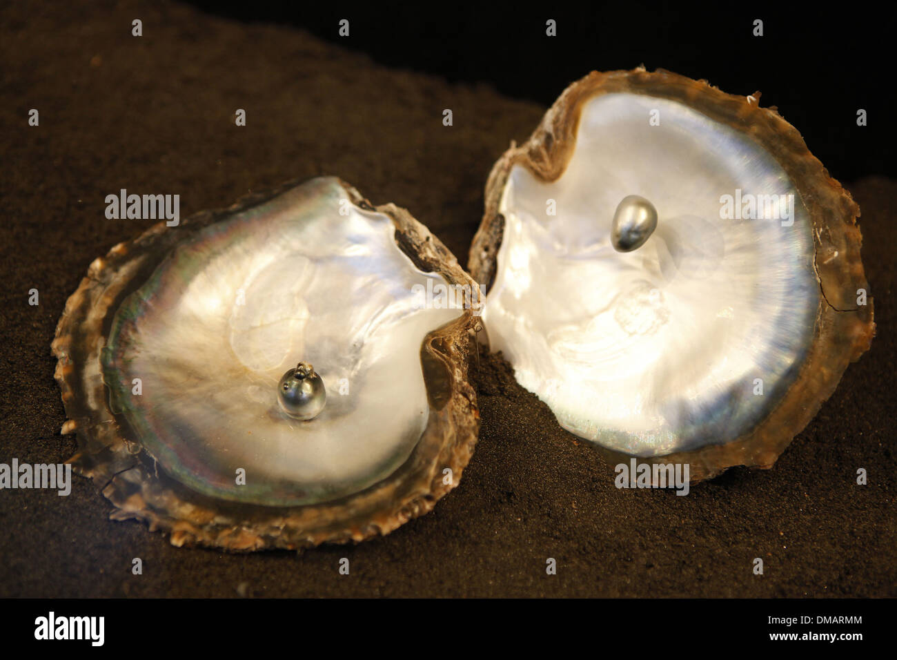 Papeete (Tahiti, French Polynesia), 2011: The Museum of the Pearl Stock ...