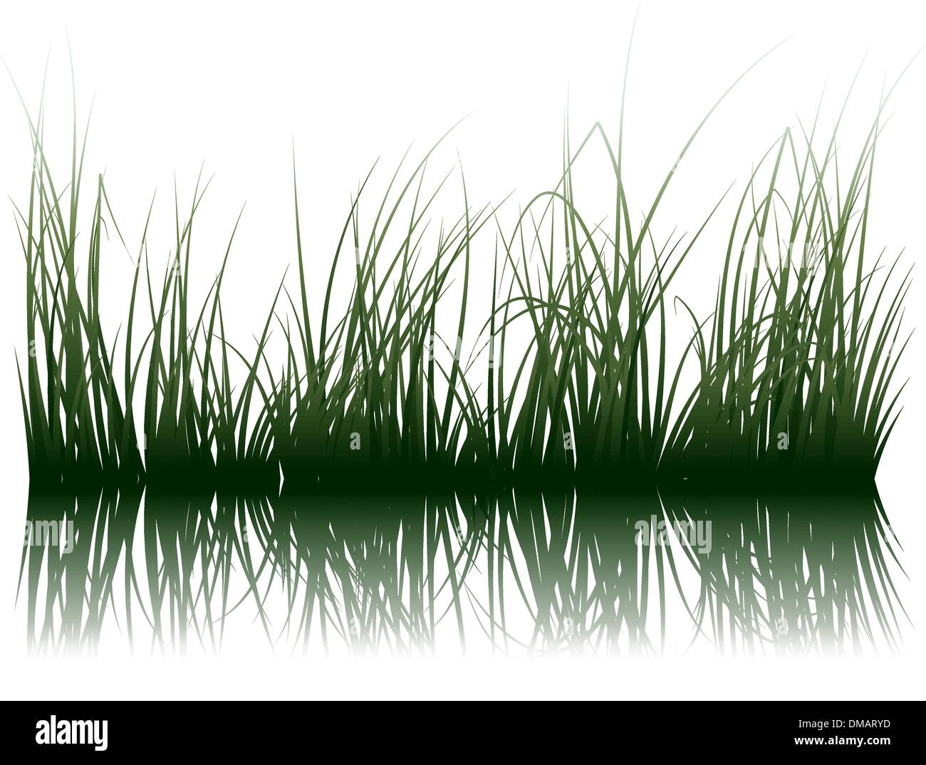 grass on water Stock Vector Image & Art - Alamy