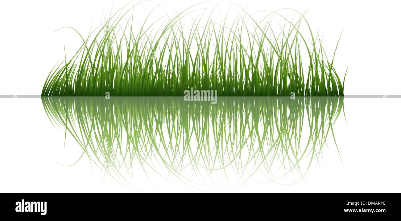 grass on water Stock Vector Image & Art - Alamy