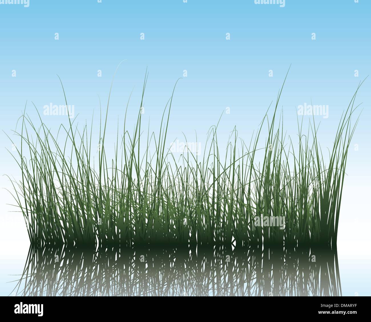 grass on water Stock Vector Image & Art - Alamy