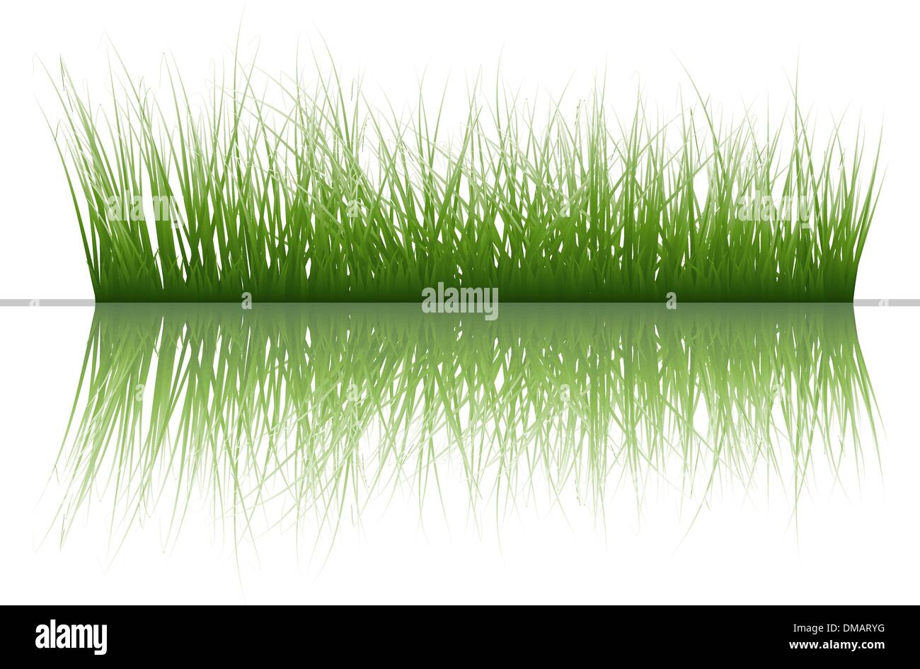 grass on water Stock Vector Image & Art - Alamy