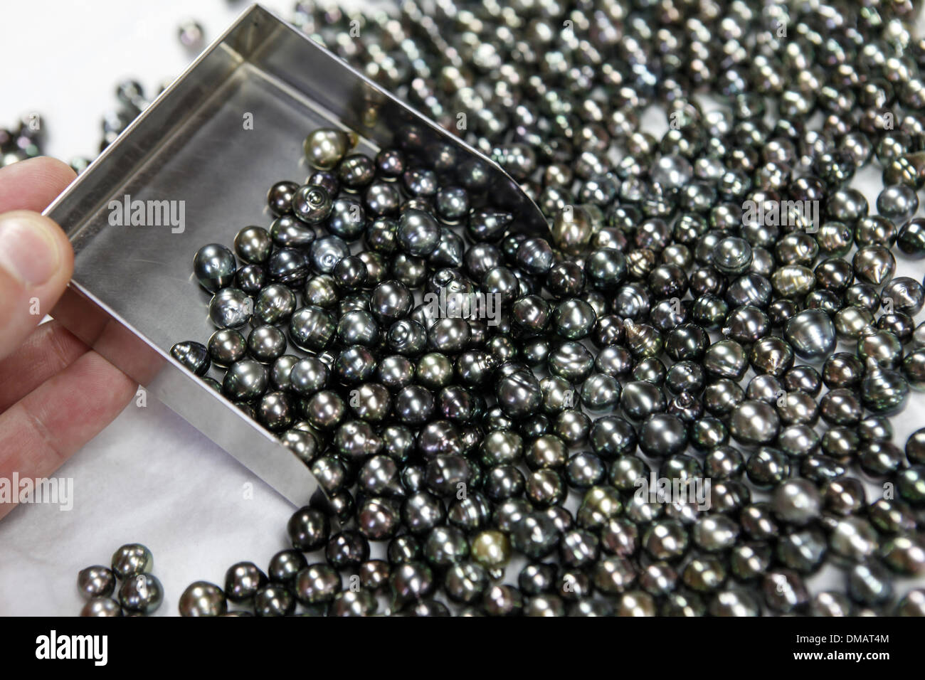 Black pearl museum tahiti hi-res stock photography and images - Alamy