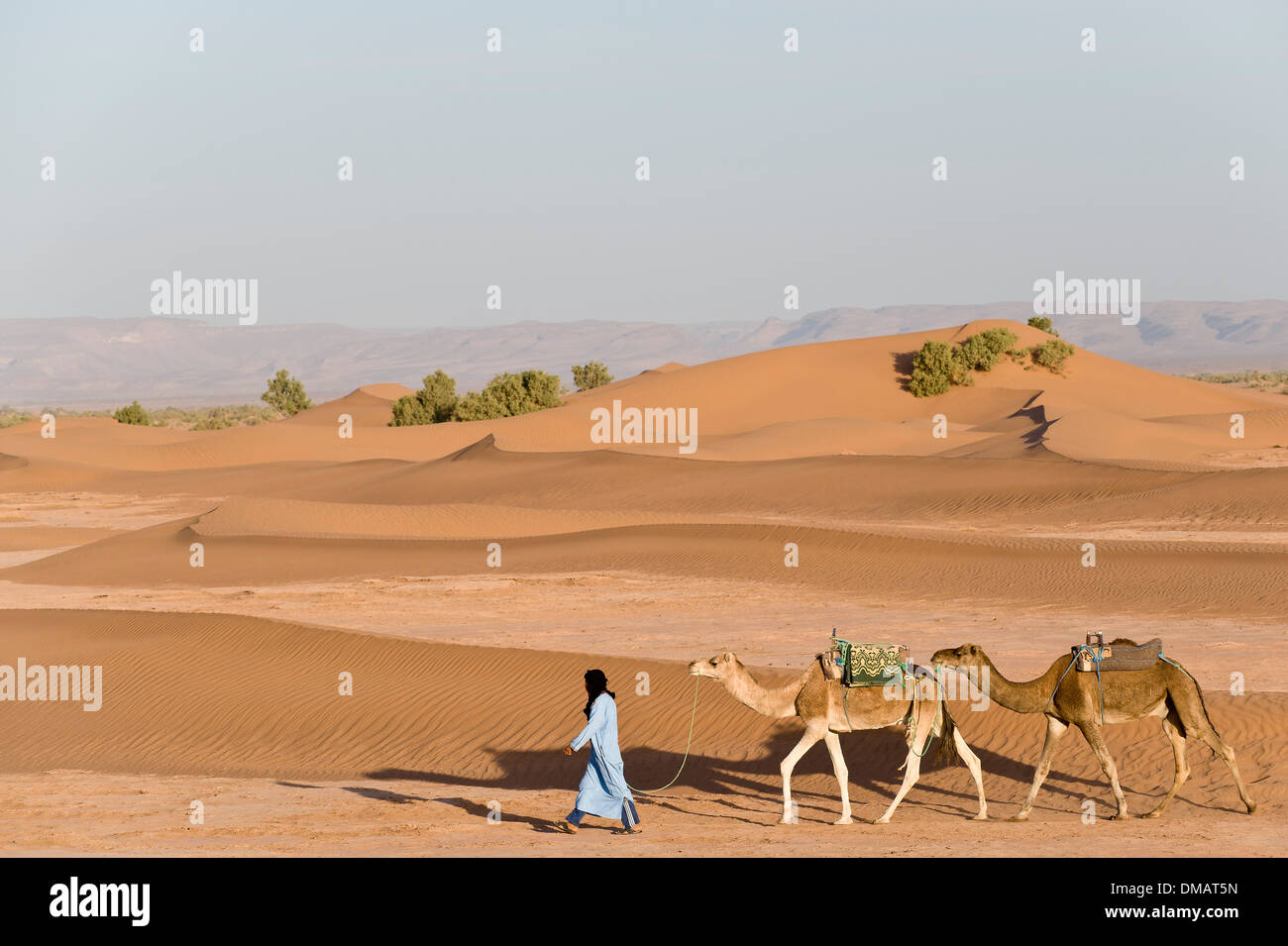 Sahara Desert at M'Hamid, Morocco, Africa Stock Photo - Alamy