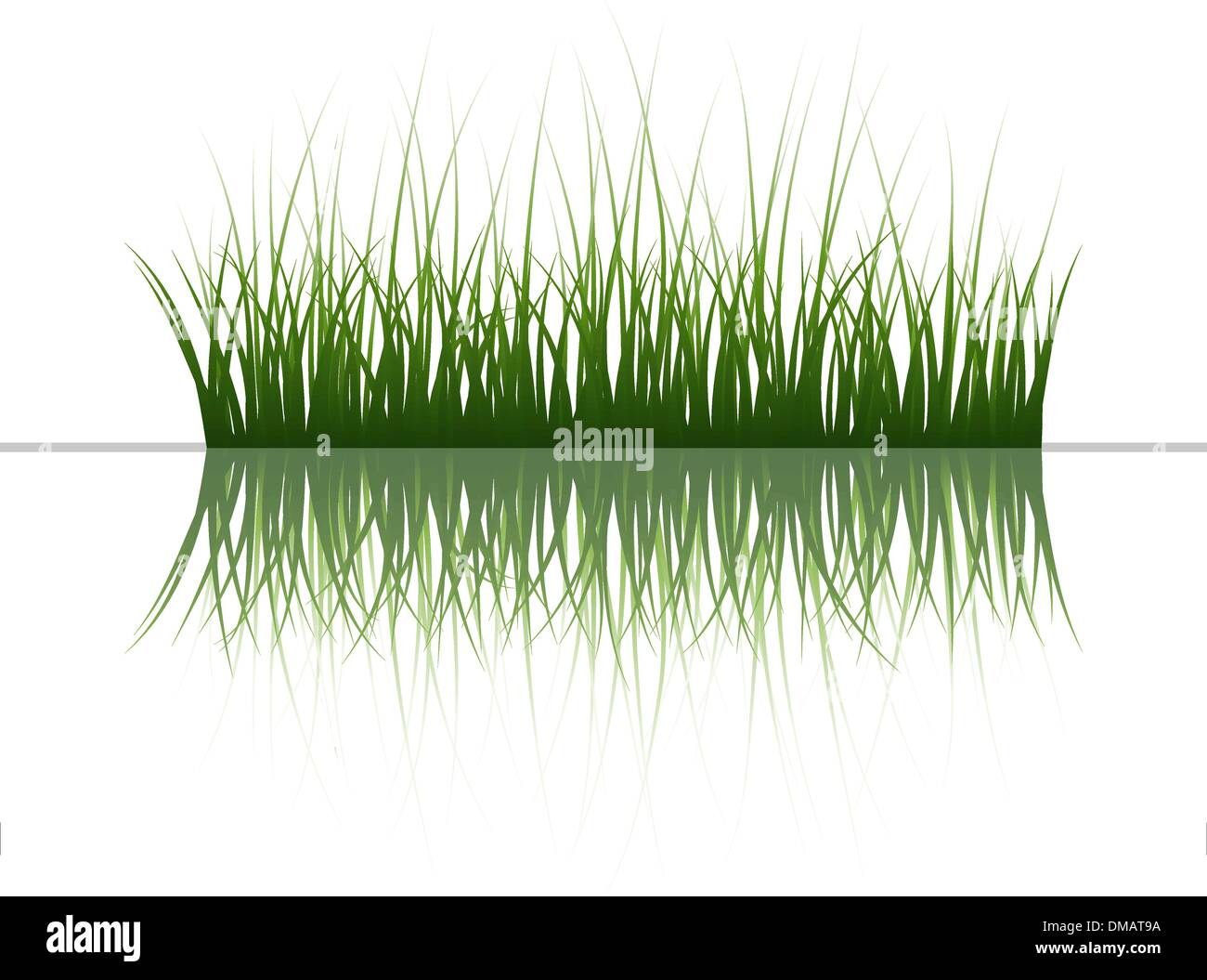 grass on water Stock Vector Image & Art - Alamy