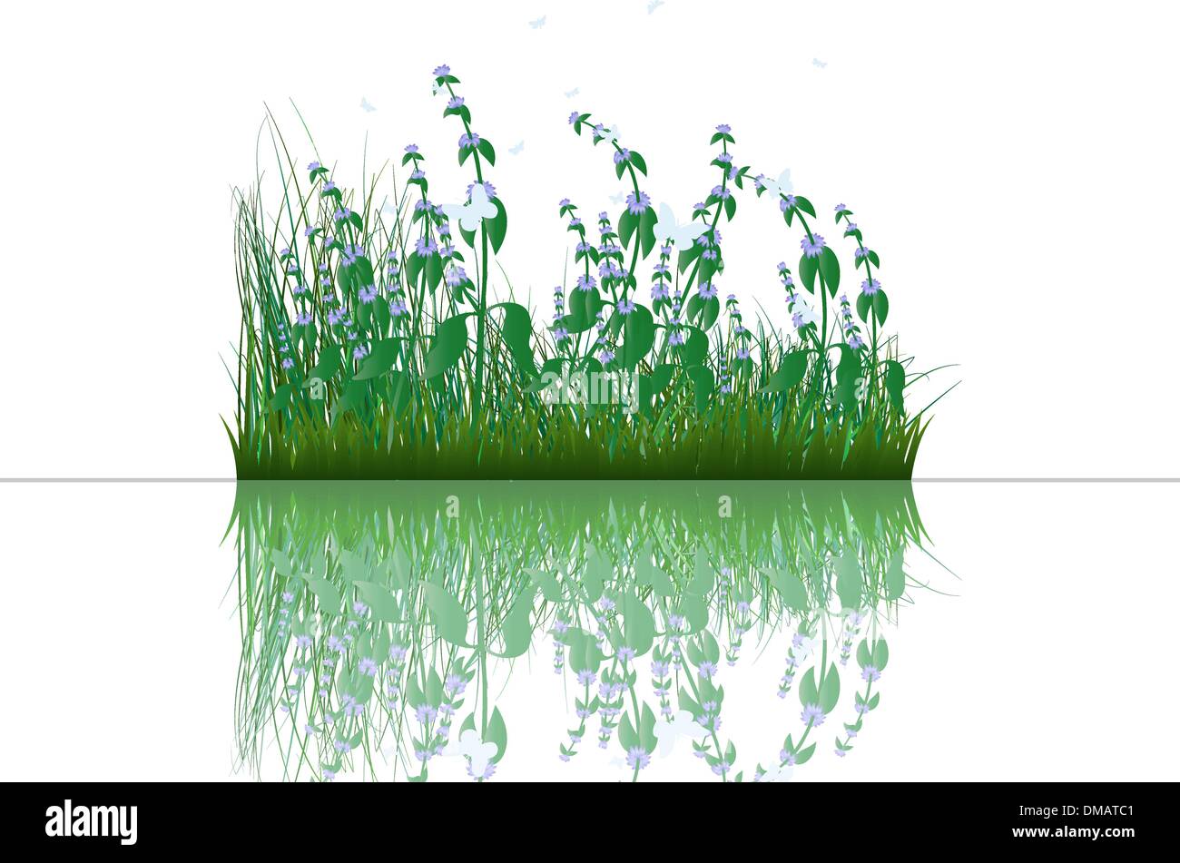 grass on water Stock Vector Image & Art - Alamy