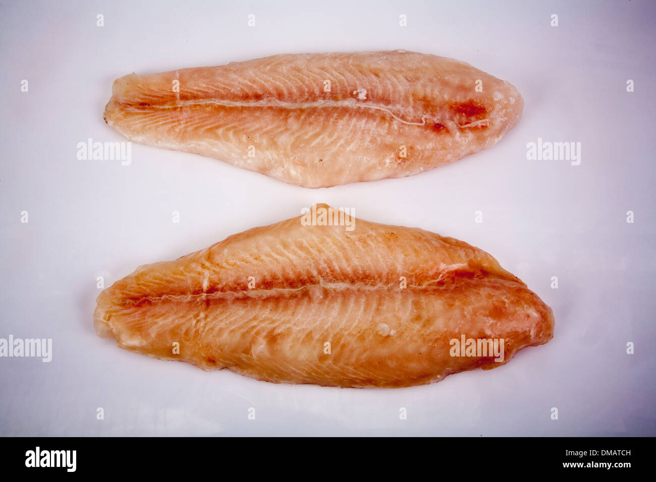 Frozen fish products laid on ice to be showcased for consumption ...