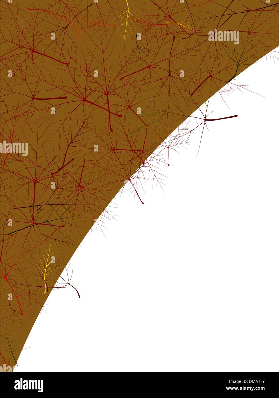 Fall color leaves blue sky Stock Vector Images - Alamy