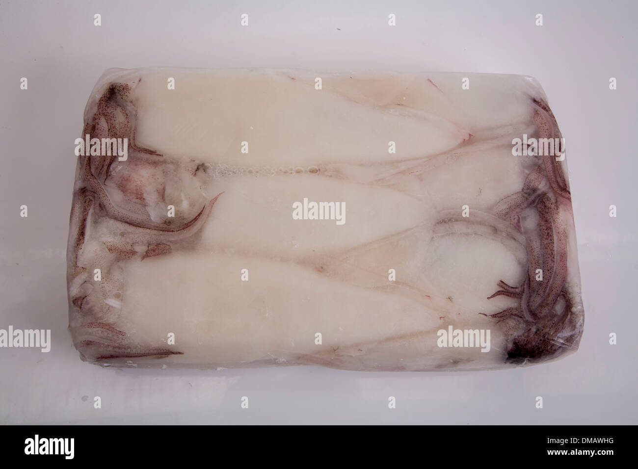 calamari frozen pack seafood eat product wholesale many pack ice cold ...