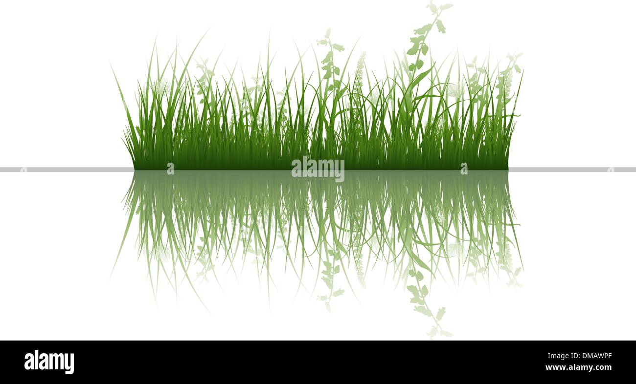 grass on water Stock Vector Image & Art - Alamy