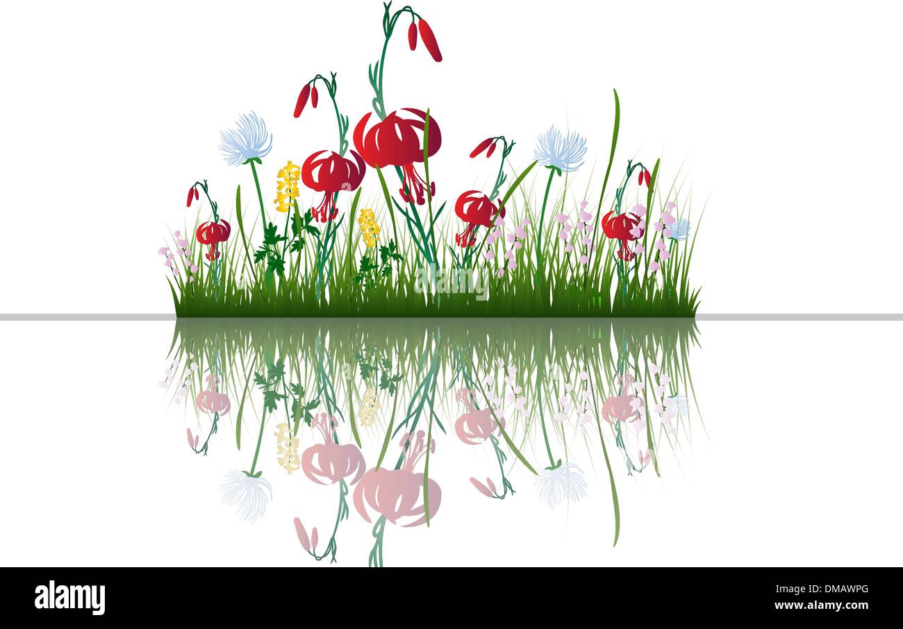 grass on water Stock Vector Image & Art - Alamy