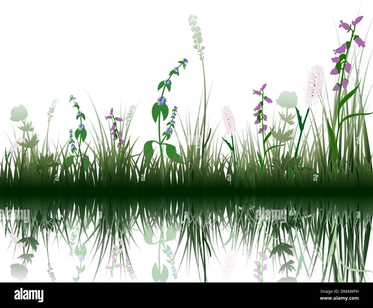 grass on water Stock Vector Image & Art - Alamy