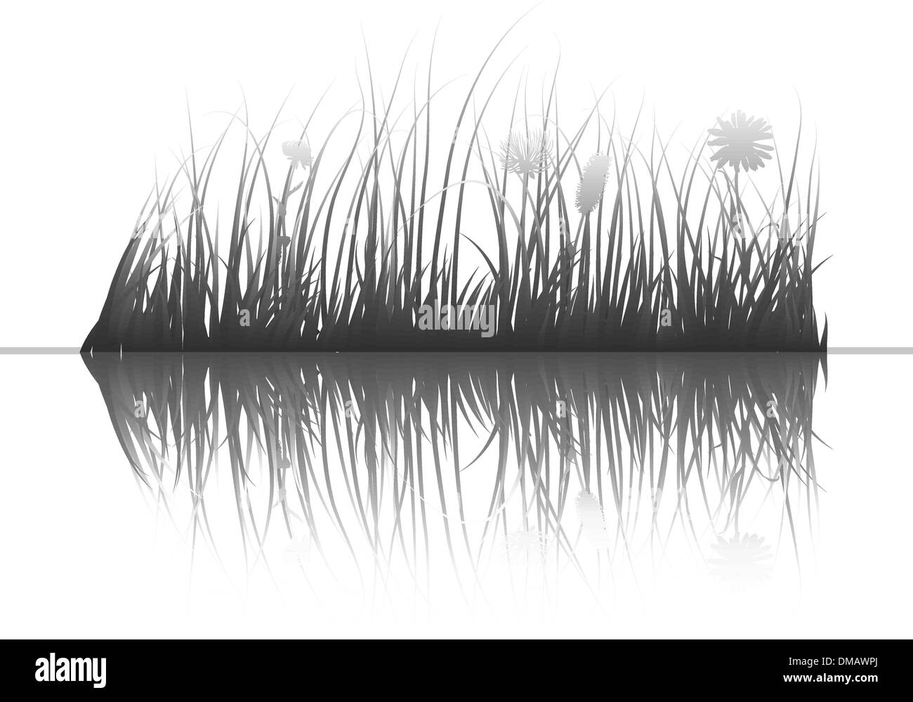 grass on water Stock Vector Image & Art - Alamy