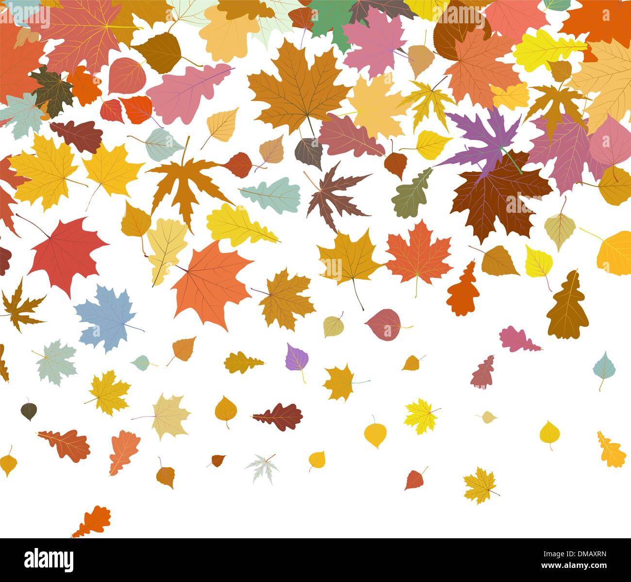 Autum forest Stock Vector Images - Alamy