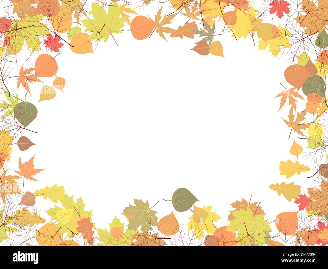 Fall leaves white background Stock Vector Images - Alamy