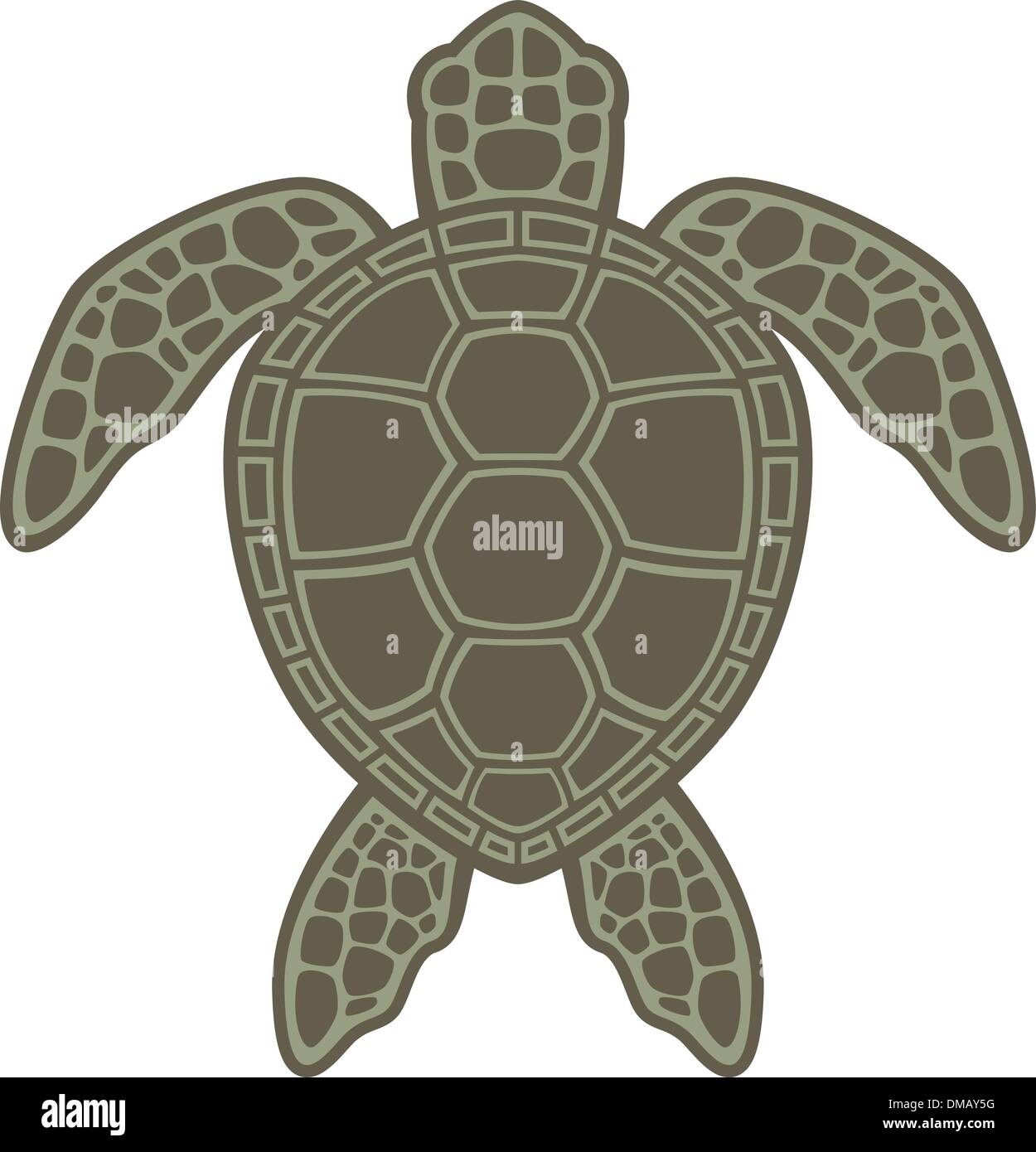 Green Sea Turtle Stock Vector Image & Art - Alamy