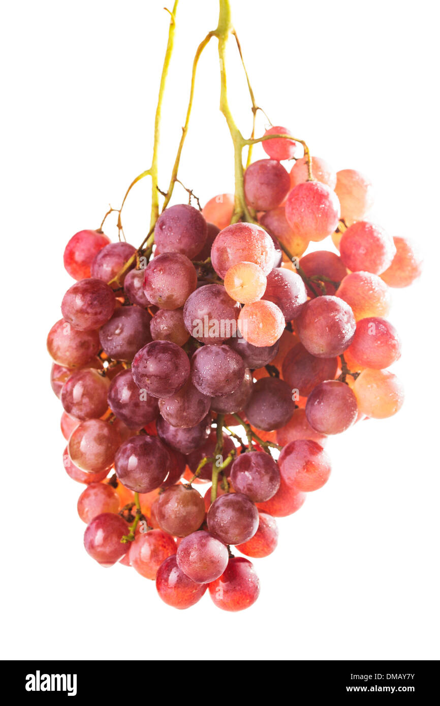 Big red grapes isolated on white background Stock Photo - Alamy