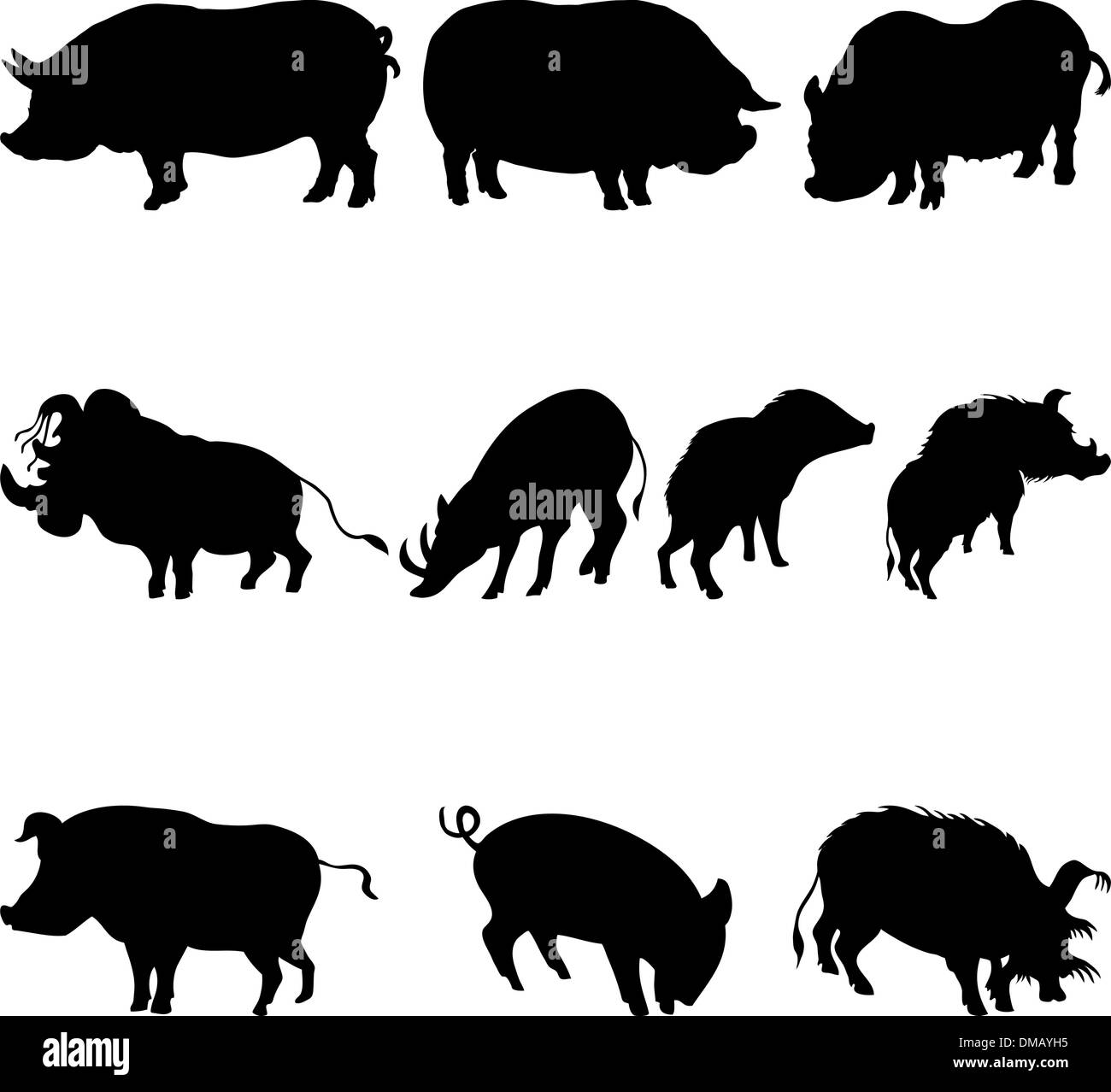 Group of pigs Stock Vector Images - Alamy