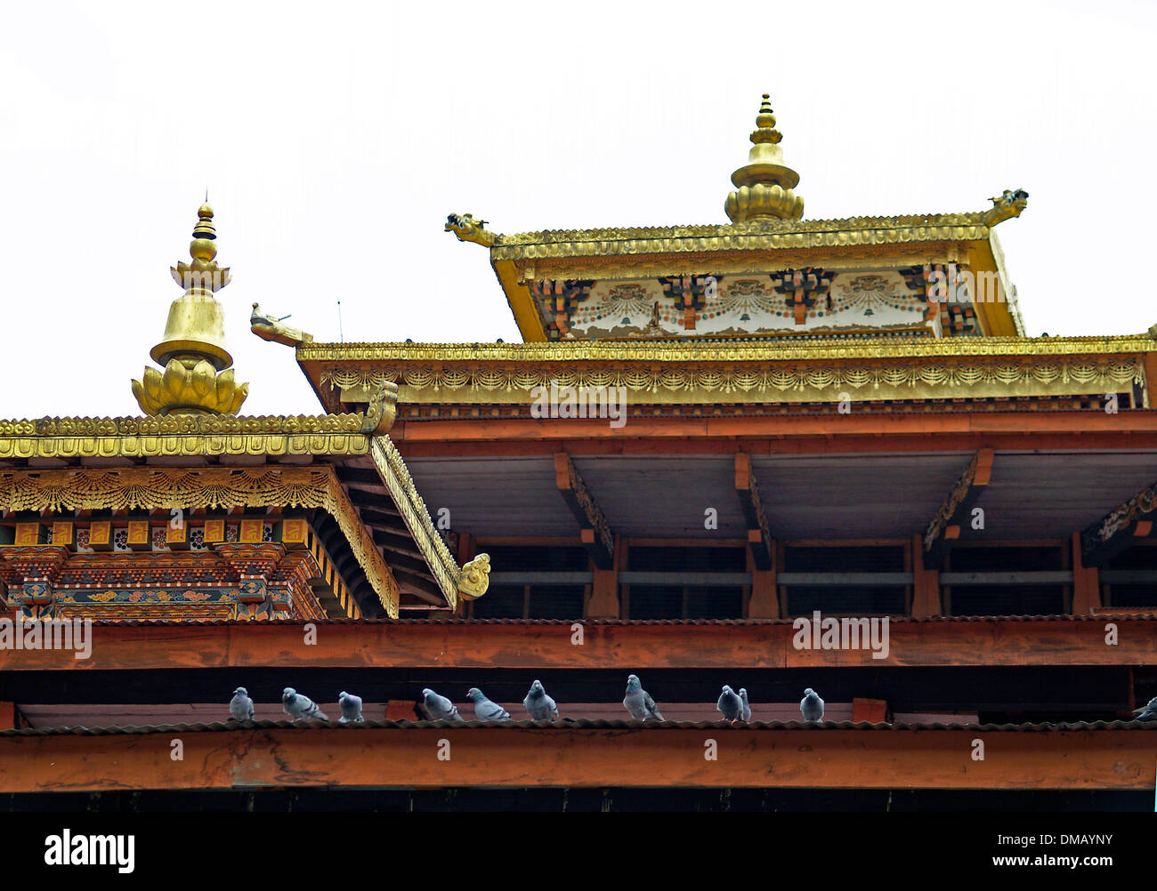 Pigeons and gilded roof lines,Punakha Dzong,Bhutan Stock Photo - Alamy