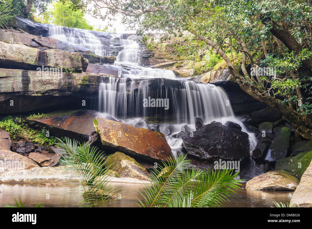 Deep jungle hi-res stock photography and images - Alamy
