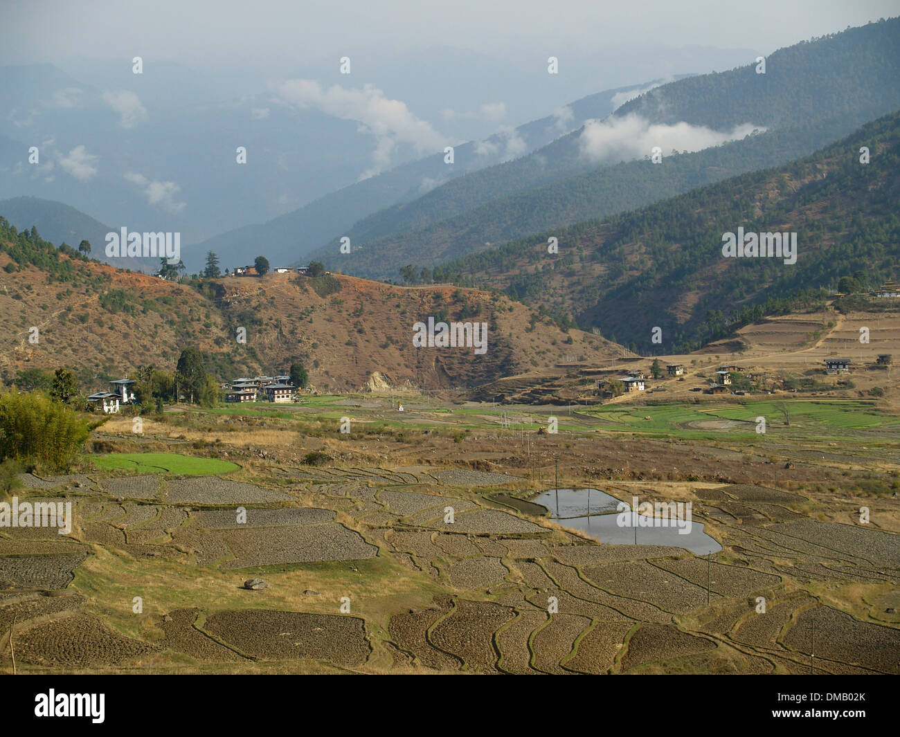 Farms and terraces in the Punakha Valley,Bhutan Stock Photo - Alamy