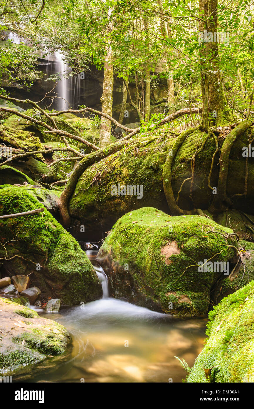 Soft waterfall hi-res stock photography and images - Alamy