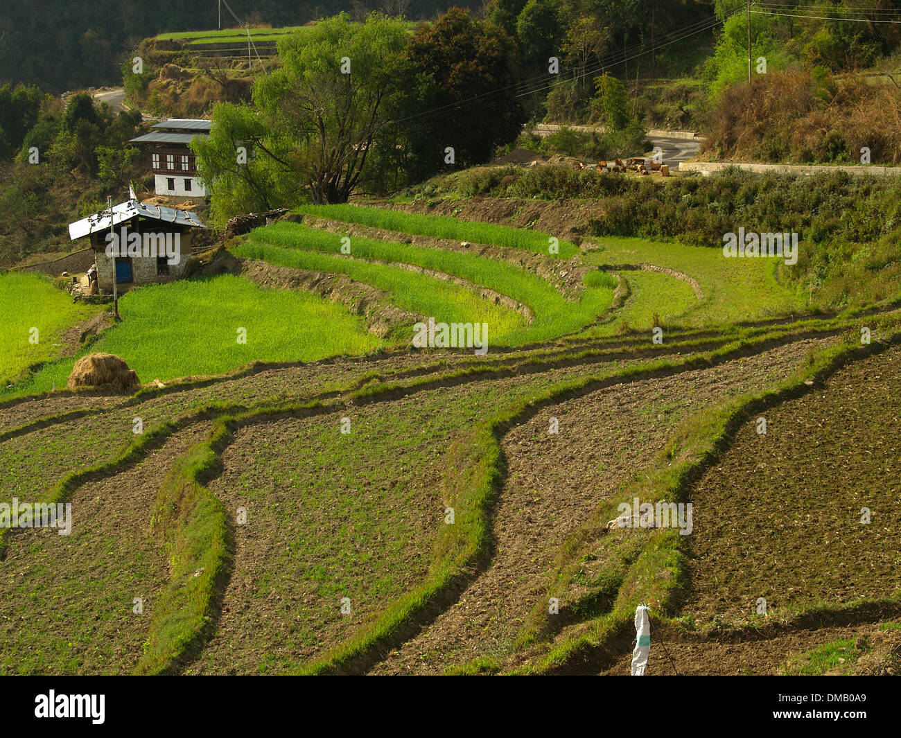 Terraces of houses hi-res stock photography and images - Alamy