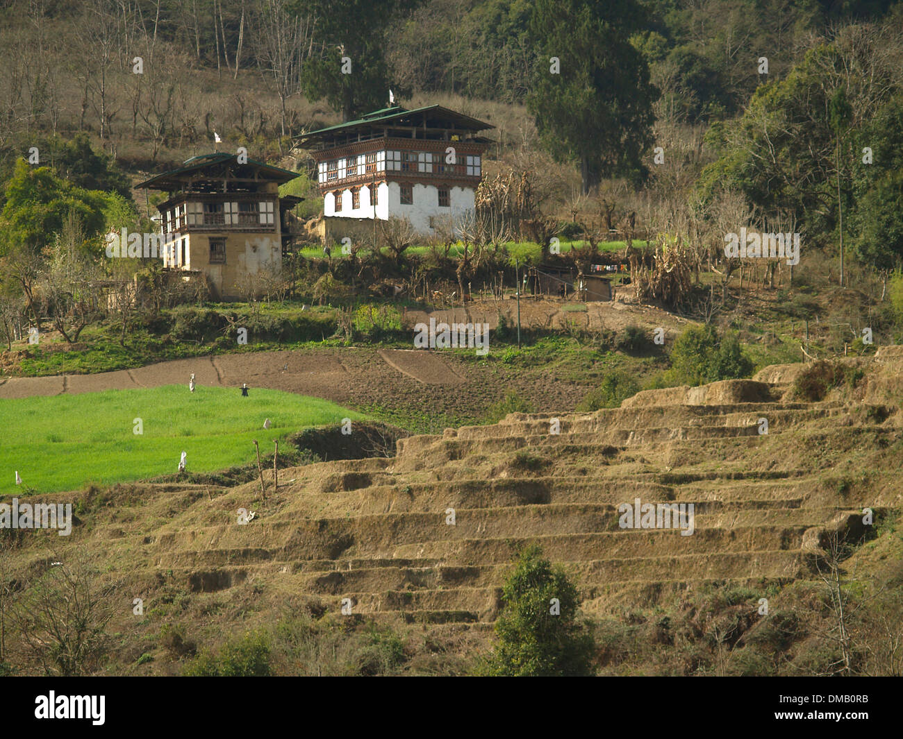 A Bhutanese farm house and terraces,Bhutan Stock Photo - Alamy