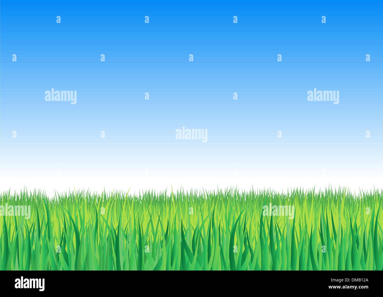 Vector illustration of detailed grass leaves on a gradient horiz Stock ...