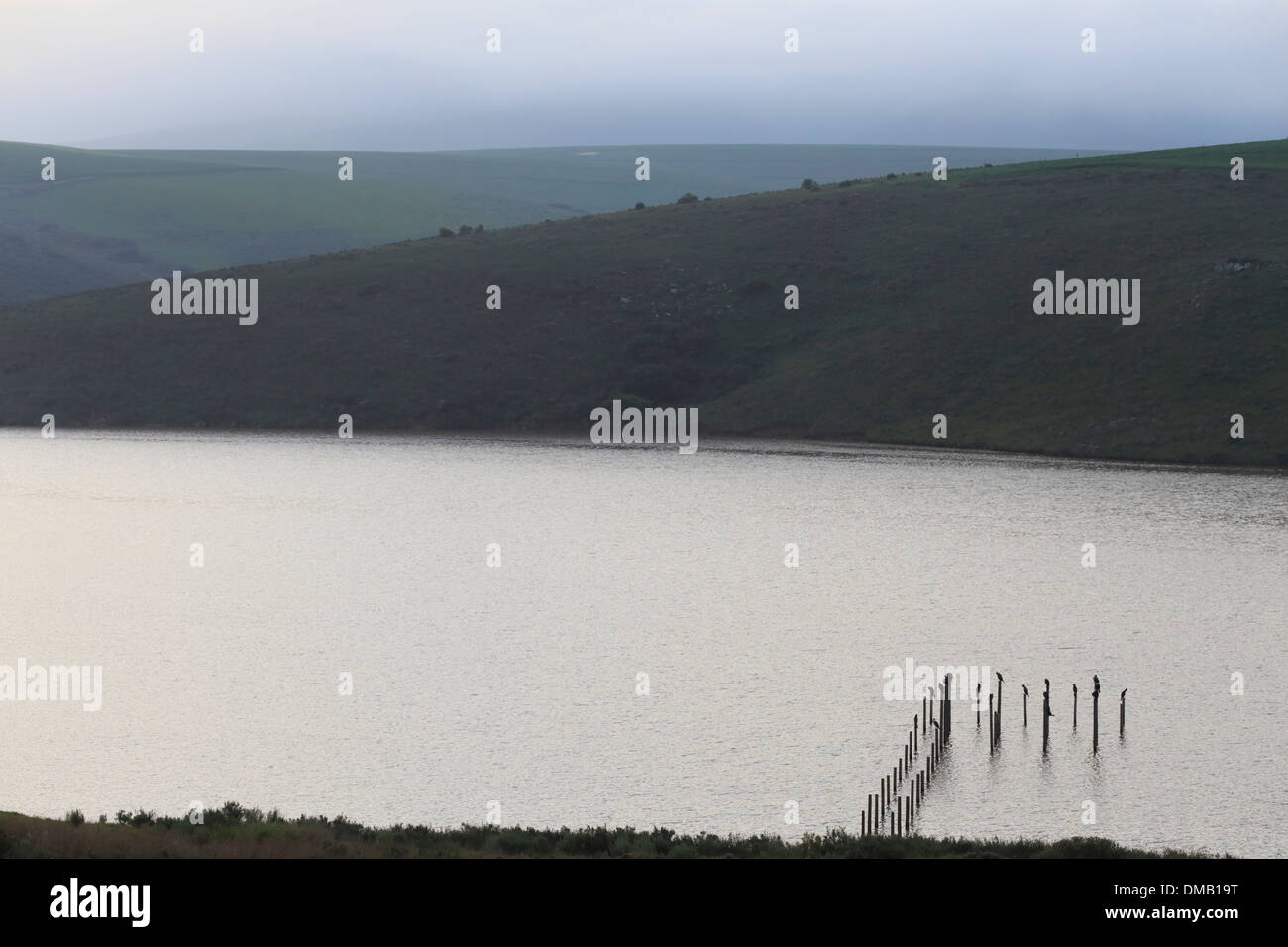 Farm dam hi-res stock photography and images - Alamy