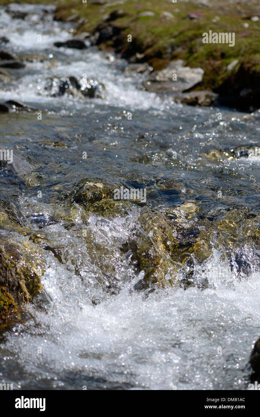 Wild water flowing in little alpine stream, taken with fast shutter ...