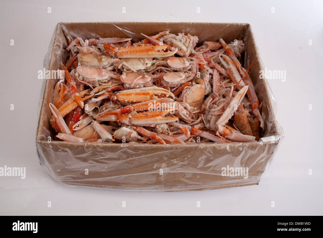 shrimp seafood ice frozen food uncooked raw meat ice nutrition sea ...