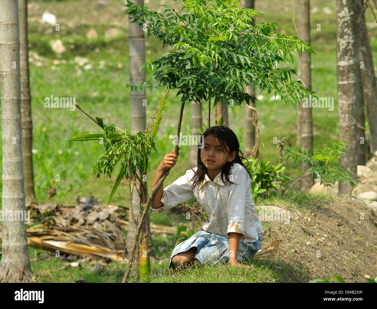 The little girl under the shade tree,West Bengal,India Stock Photo - Alamy