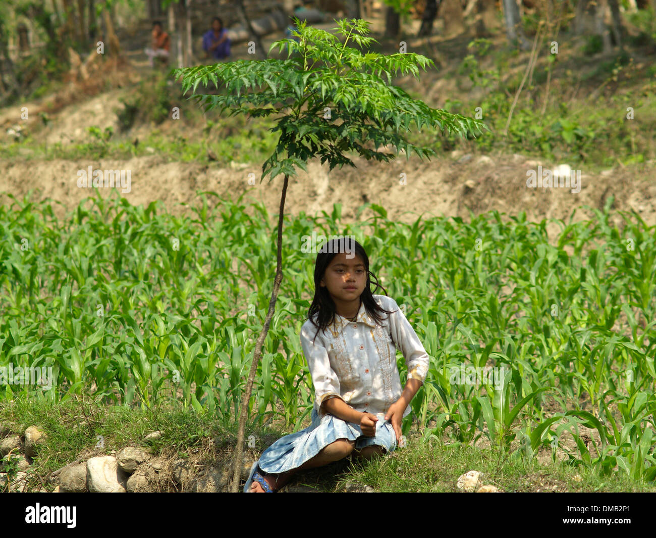 The little girl under the tree,West Bengal,India Stock Photo - Alamy