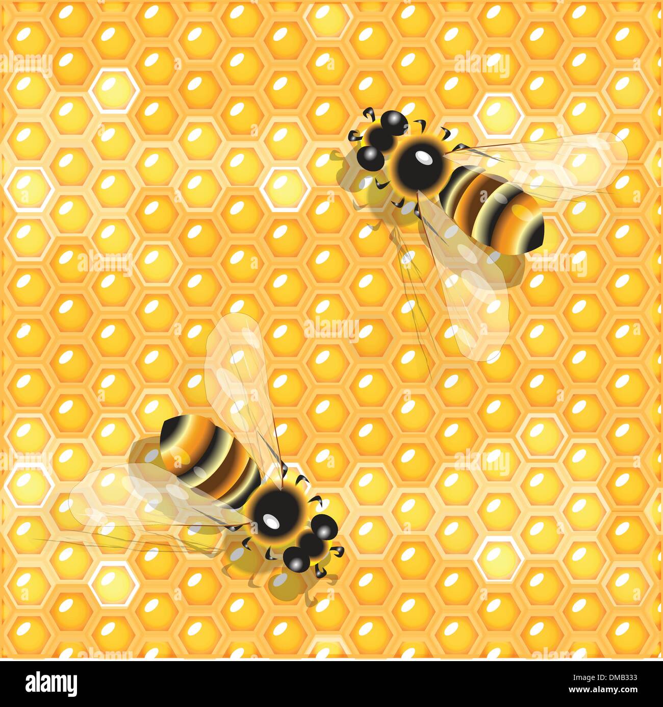 Two bees on flower Stock Vector Images - Alamy