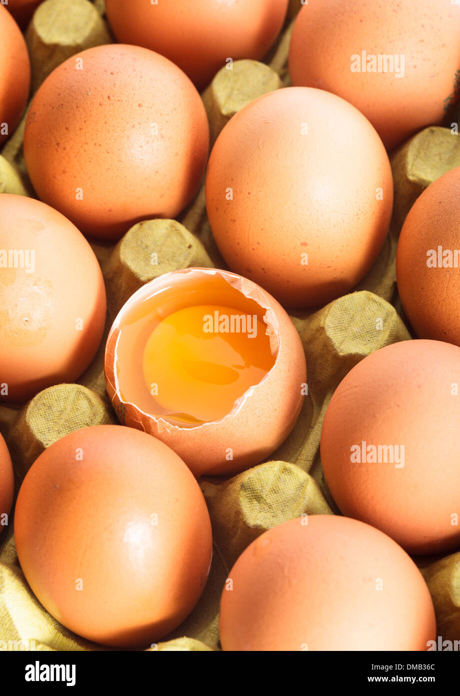 A raw egg in the shell in the cardboard shelf Stock Photo - Alamy