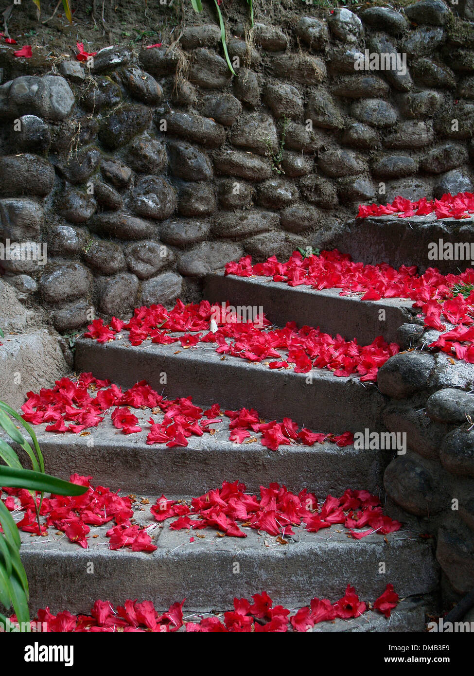 Etho metho hi-res stock photography and images - Alamy