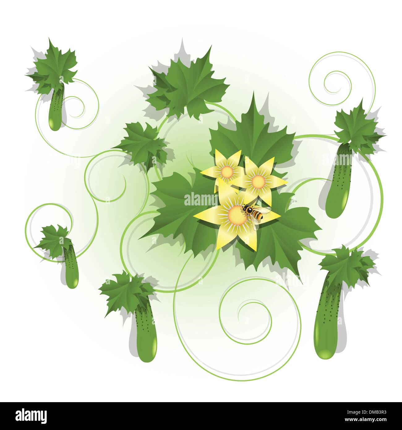 Cucumber flower with bee Cut Out Stock Images & Pictures - Alamy