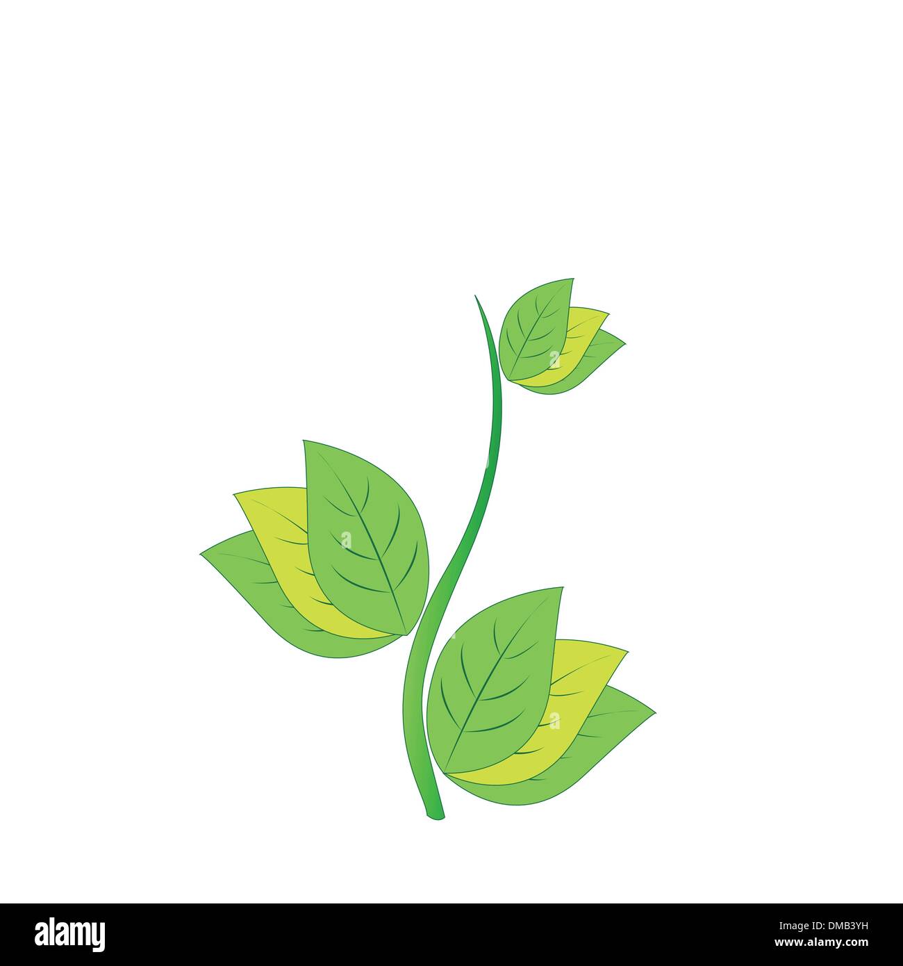 Shade flower Stock Vector Images - Alamy