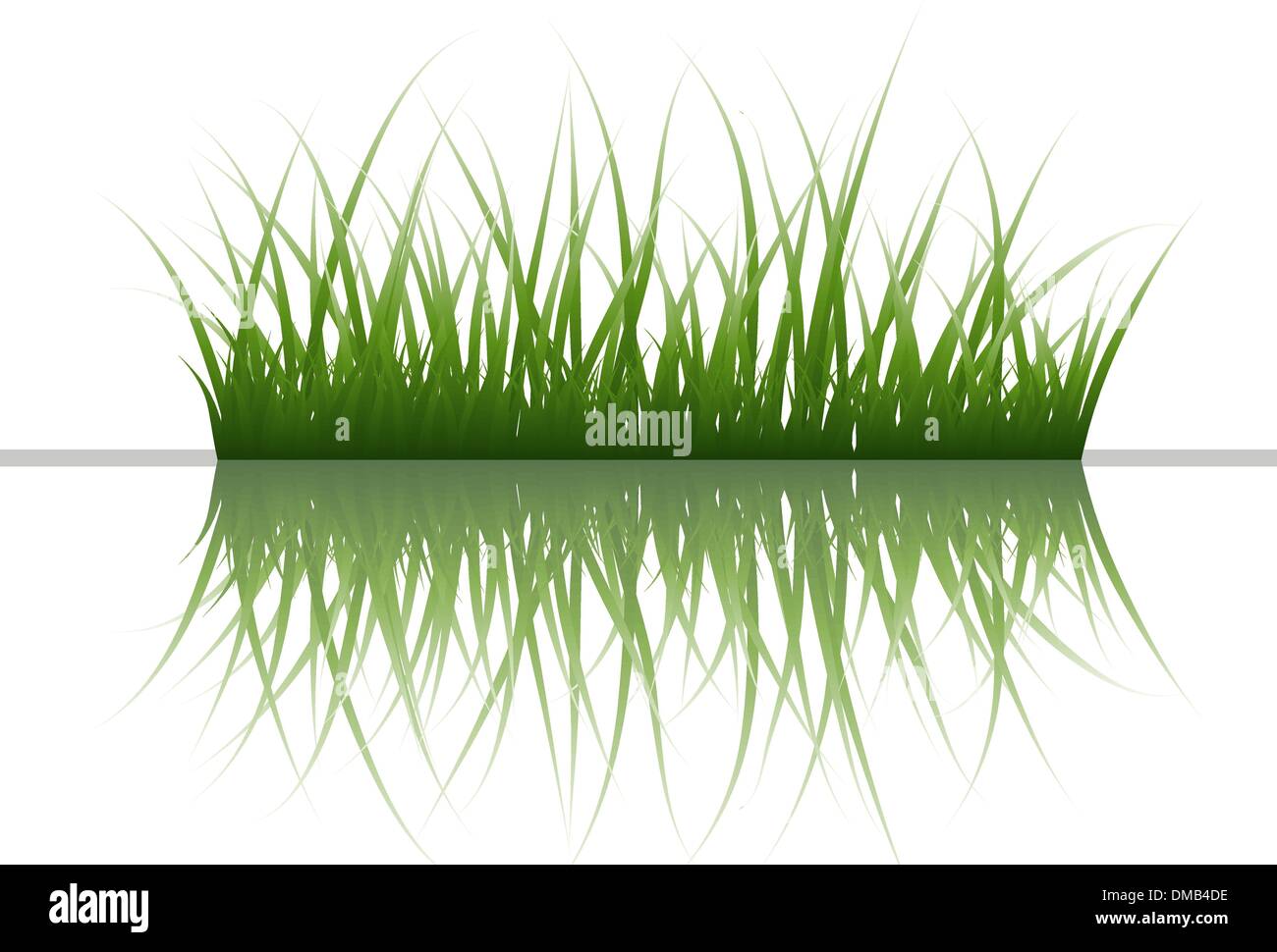 grass on water Stock Vector Image & Art - Alamy